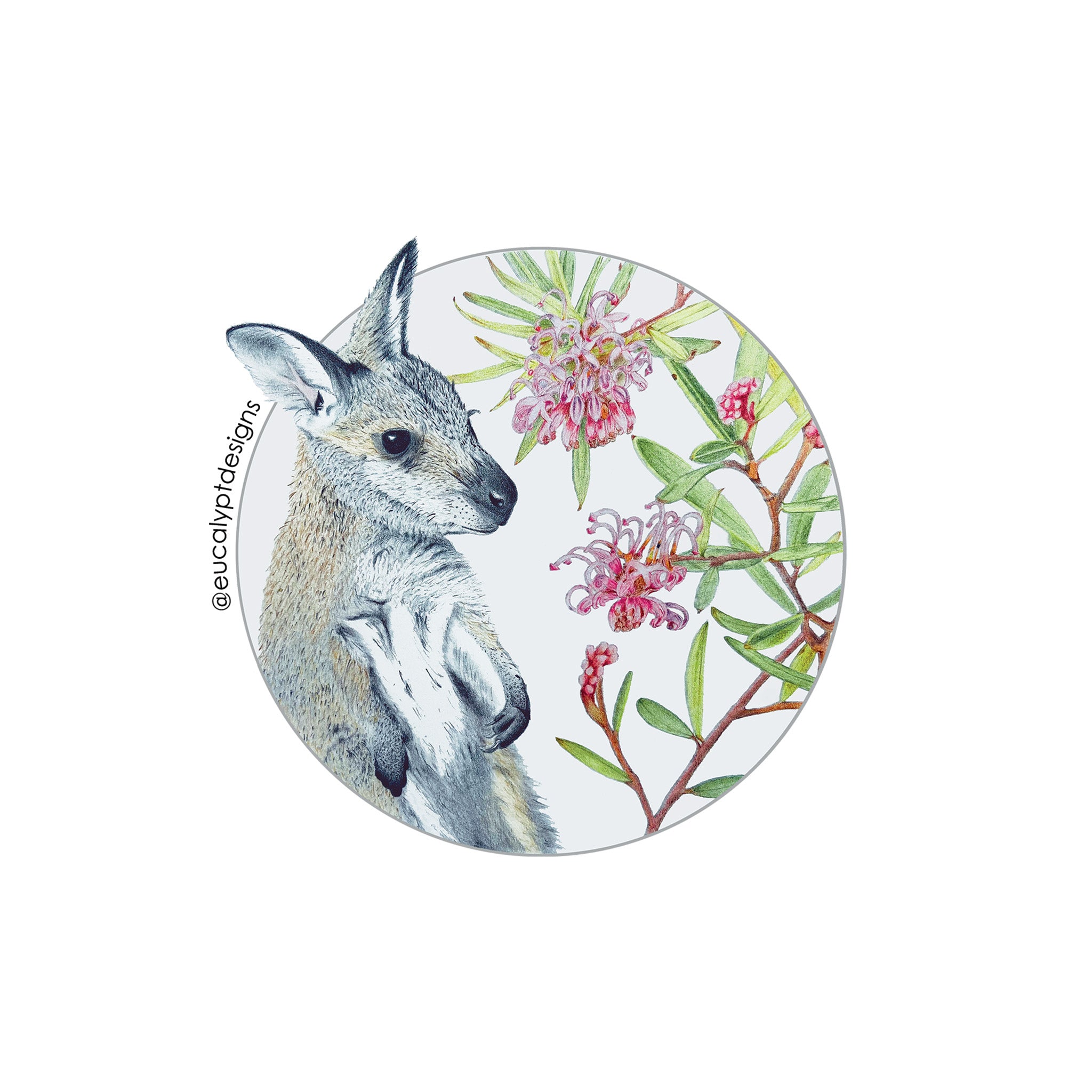 Australian Wildlife Sticker Wallaby – Eucalypt Designs